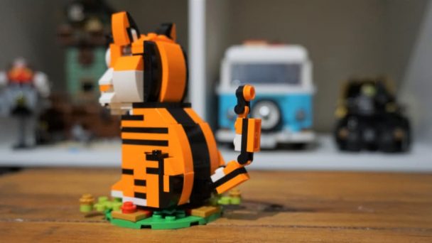 LEGO 40491 Year of the Tiger Review - That Brick Site