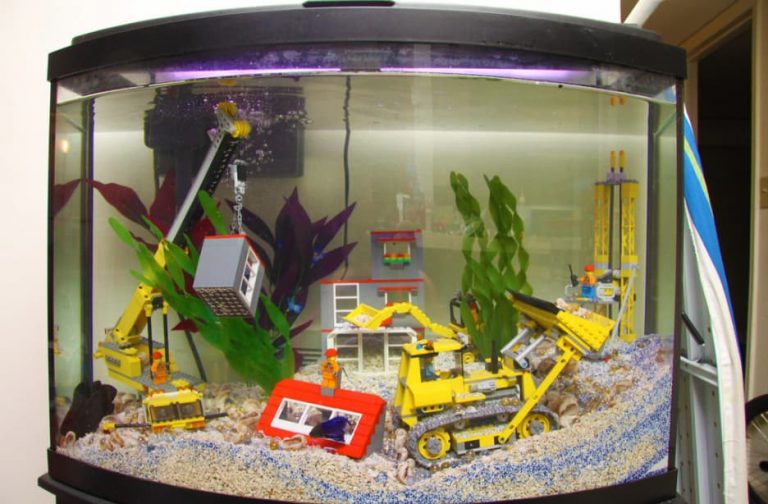 Should You Put LEGO in a Fishtank? (+ 5 Awesome Ideas) - That Brick Site