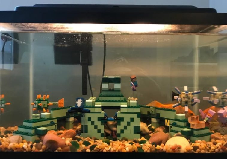 Should You Put LEGO in a Fishtank? (+ 5 Awesome Ideas) - That Brick Site