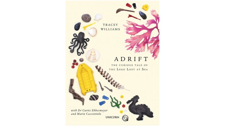 Book Review: Adrift: The Curious Tale of the Lego Lost at Sea - That ...
